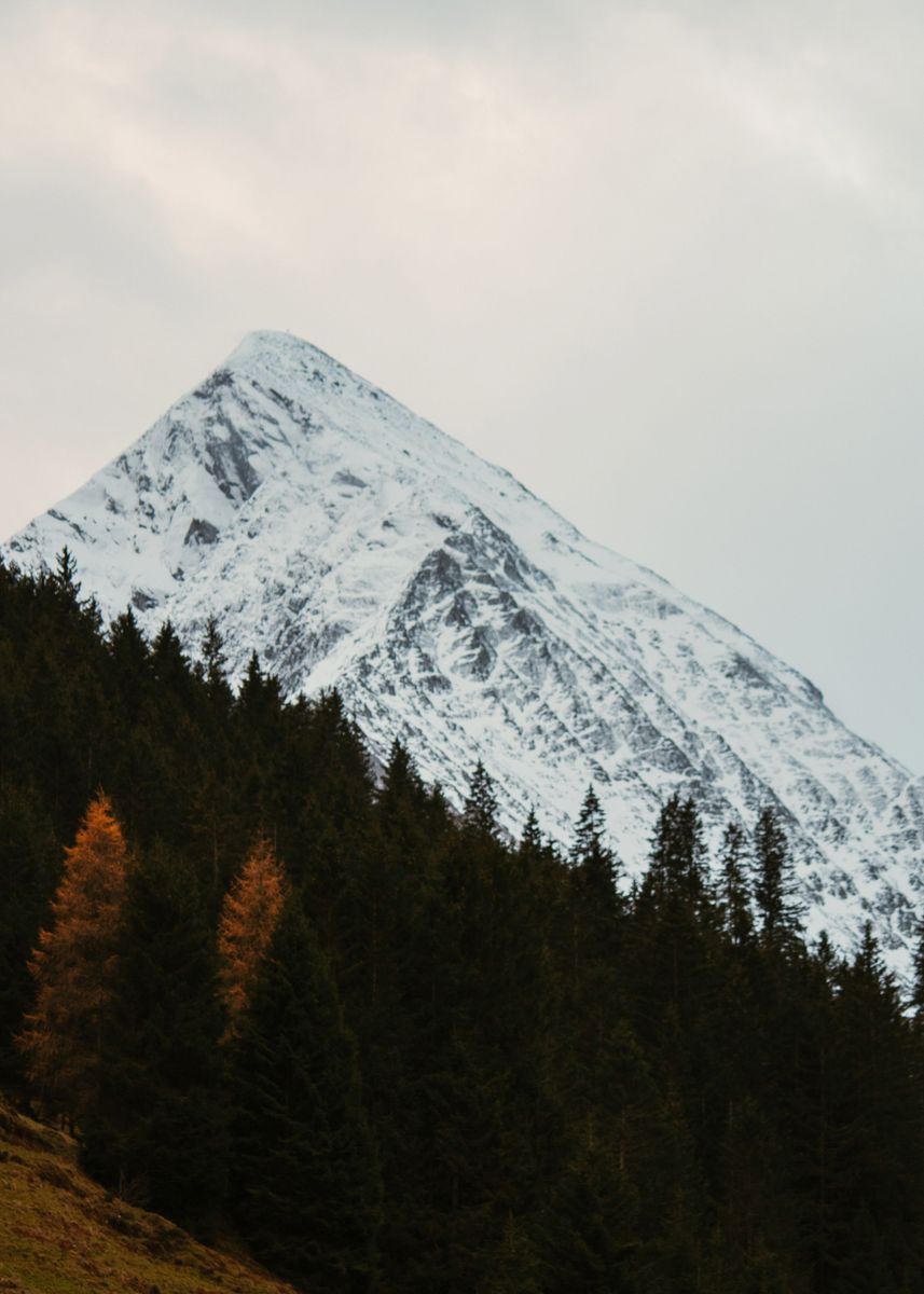 'Autumn Meets Winter' Poster, picture, metal print, paint by Hendrik ...