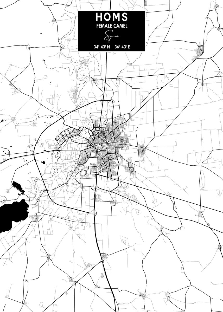 'Homs Syria' Poster, picture, metal print, paint by Mcgilvery Colby ...