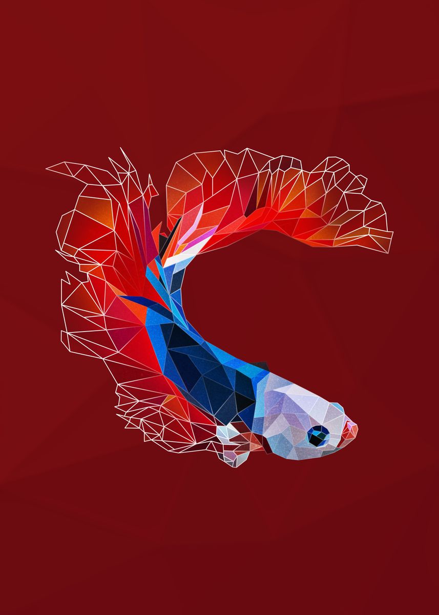 'Low poly koi' Poster, picture, metal print, paint by Yaklez | Displate