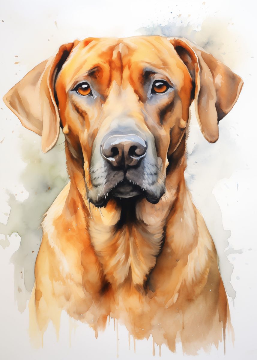 'Rhodesian Ridgeback dog' Poster, picture, metal print, paint by ...