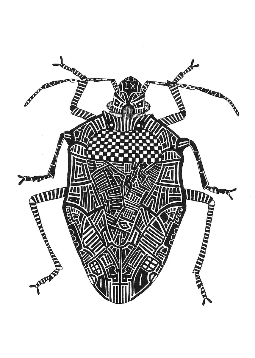 'Stink bug' Poster, picture, metal print, paint by guillaume hess ...
