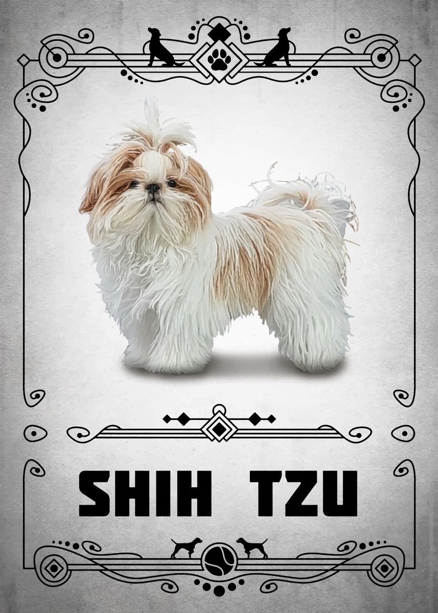 'Shih Tzu' Poster, picture, metal print, paint by Bo Kev | Displate