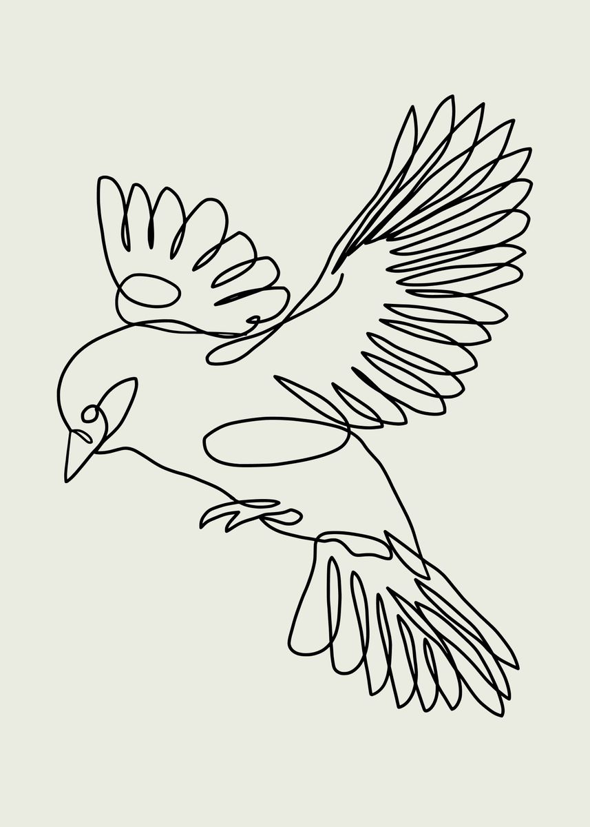 'Line Art Finch Boho Bird' Poster, picture, metal print, paint by Eline ...