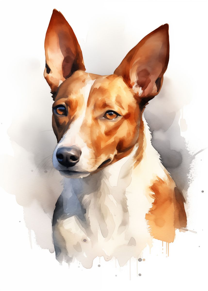 'Basenji watercolor dog' Poster, picture, metal print, paint by Mappingz | Displate