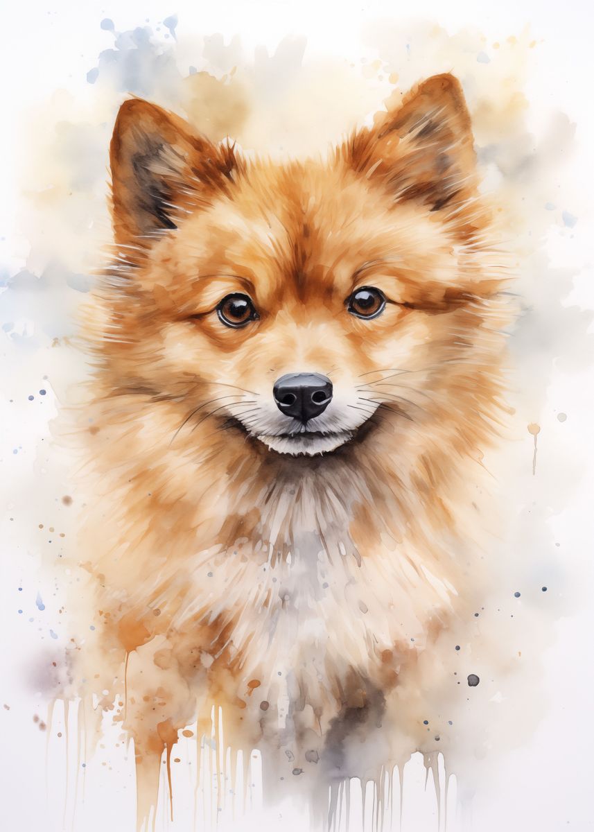 'Finnish Spitz portrait' Poster, picture, metal print, paint by ...
