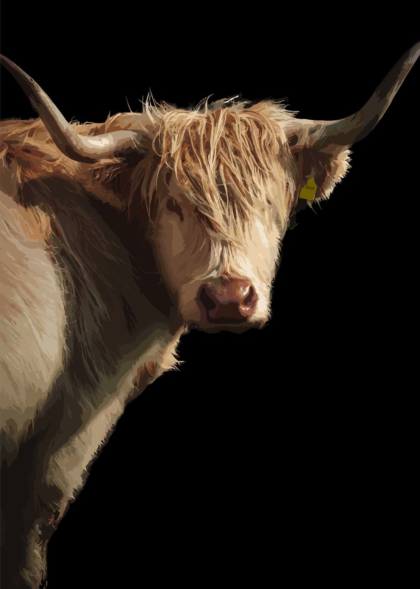 'Highland Cattle' Poster, picture, metal print, paint by Batrisyia ...