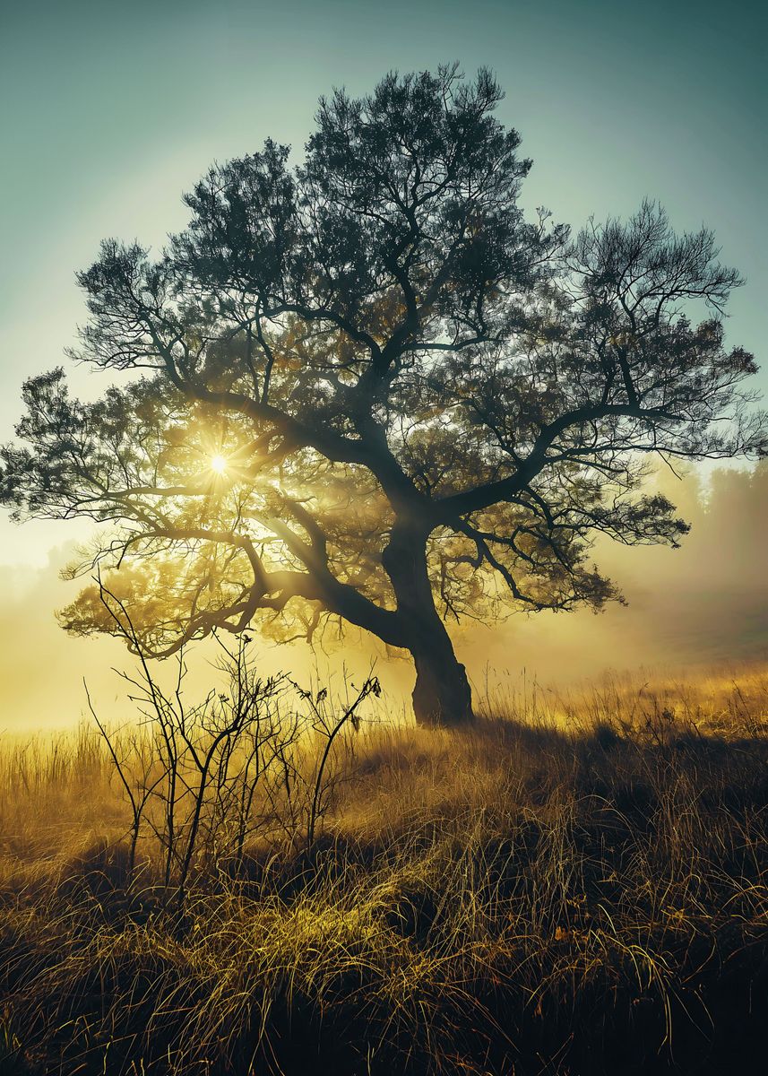 'Ethereal Tree' Poster, picture, metal print, paint by Mark Vincent ...