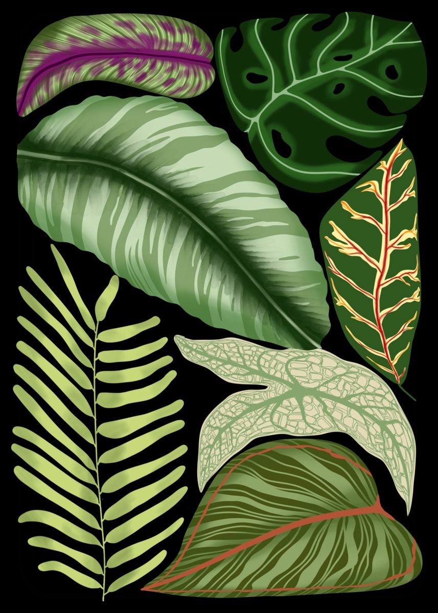 'Tropical Leaves' Poster, picture, metal print, paint by ...