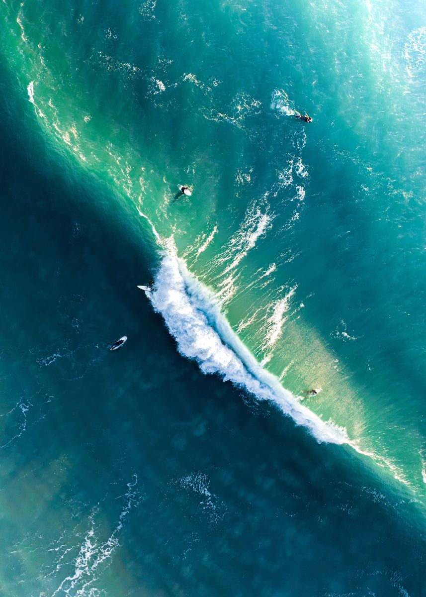 'Ripping Wave' Poster, picture, metal print, paint by Ed Salmon | Displate