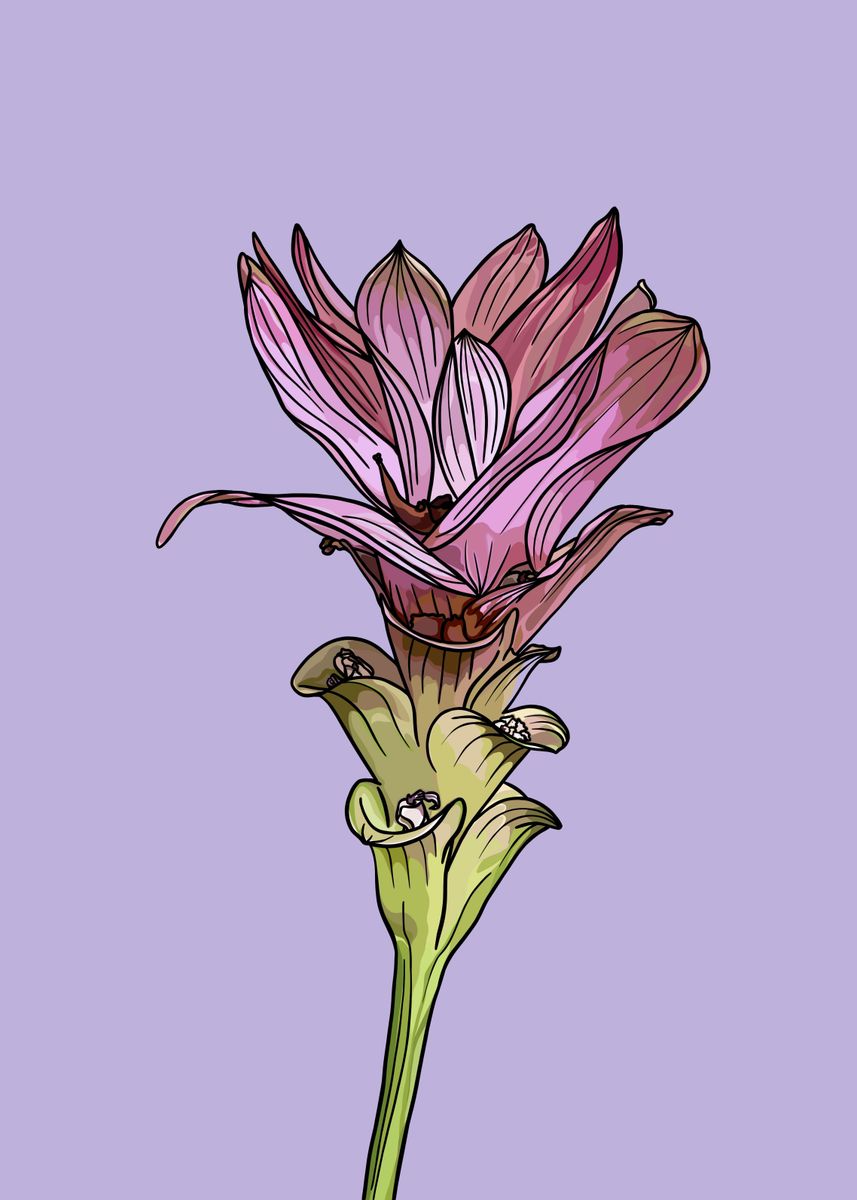 'Lonely flower' Poster, picture, metal print, paint by Kinga Maciąg ...