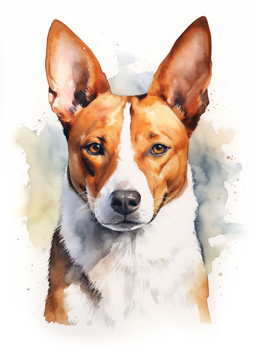 'watercolor basenji' Poster, picture, metal print, paint by Mappingz | Displate