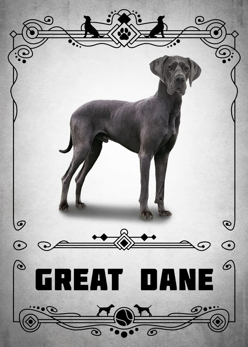 'Great Dane' Poster, picture, metal print, paint by Bo Kev | Displate
