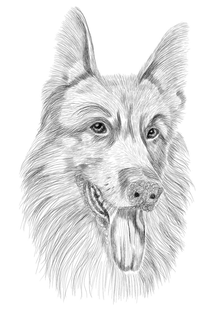 'Scribble art dog drawing' Poster, picture, metal print, paint by ...