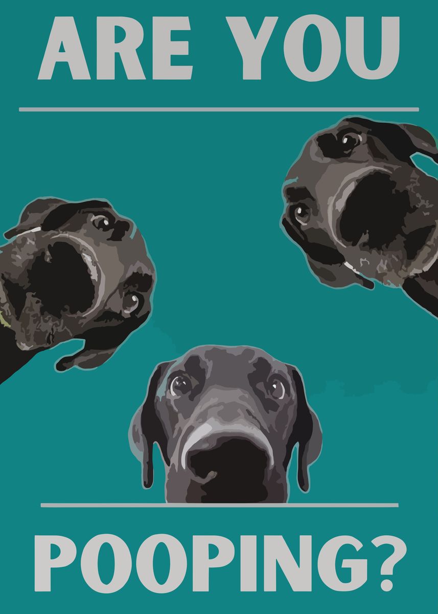 'Are You Pooping' Poster, picture, metal print, paint by Jimmy Dg ...