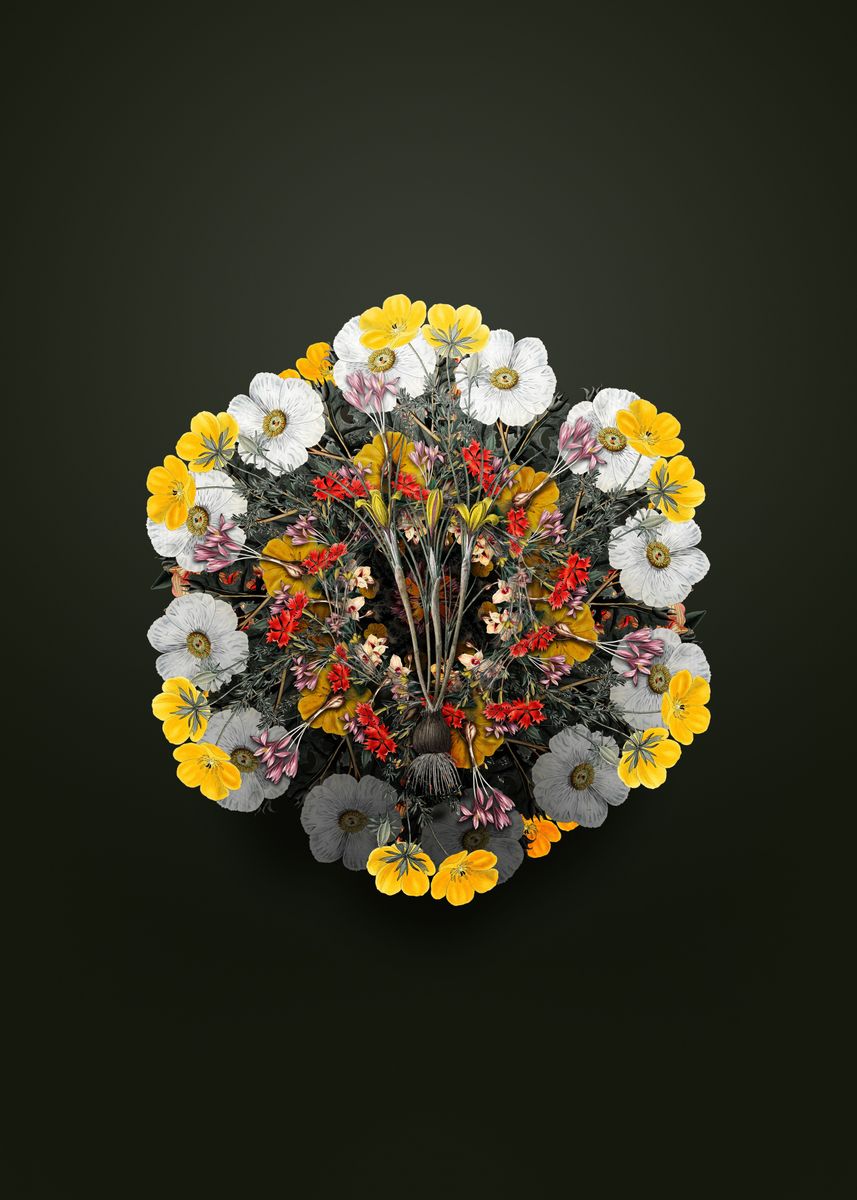 'Cloth of Gold Crocus' Poster, picture, metal print, paint by Holy Rock ...