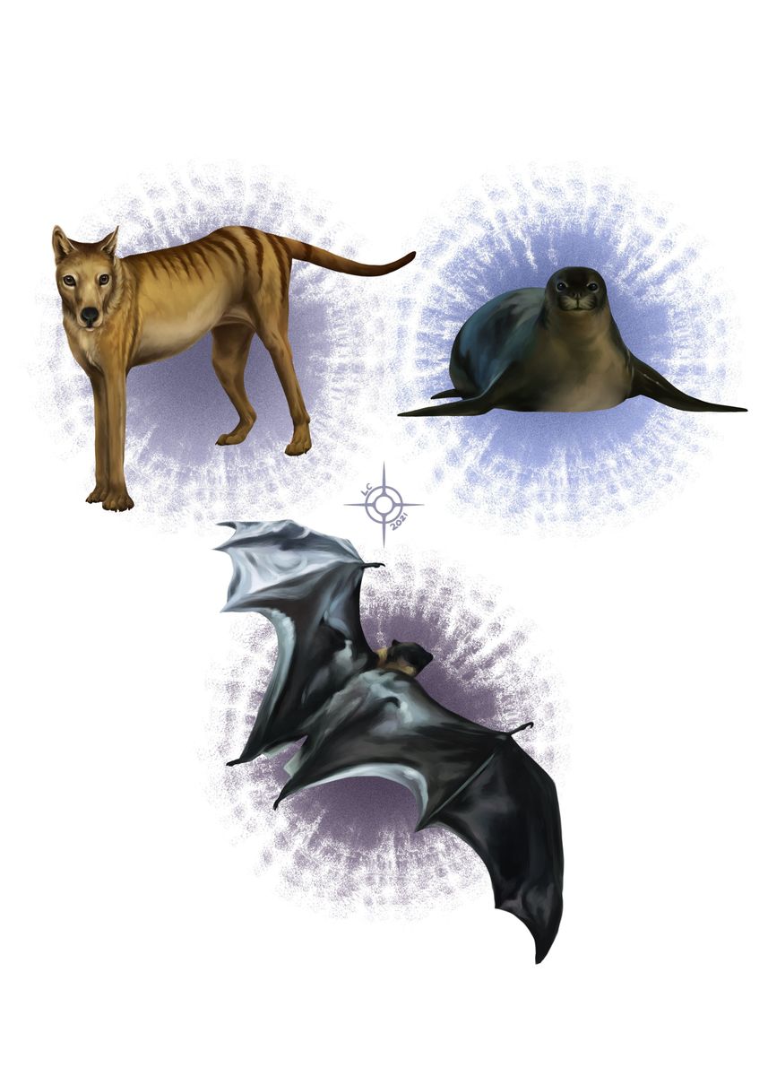 'Extinct Mammals' Poster, picture, metal print, paint by Laney Cardenas ...