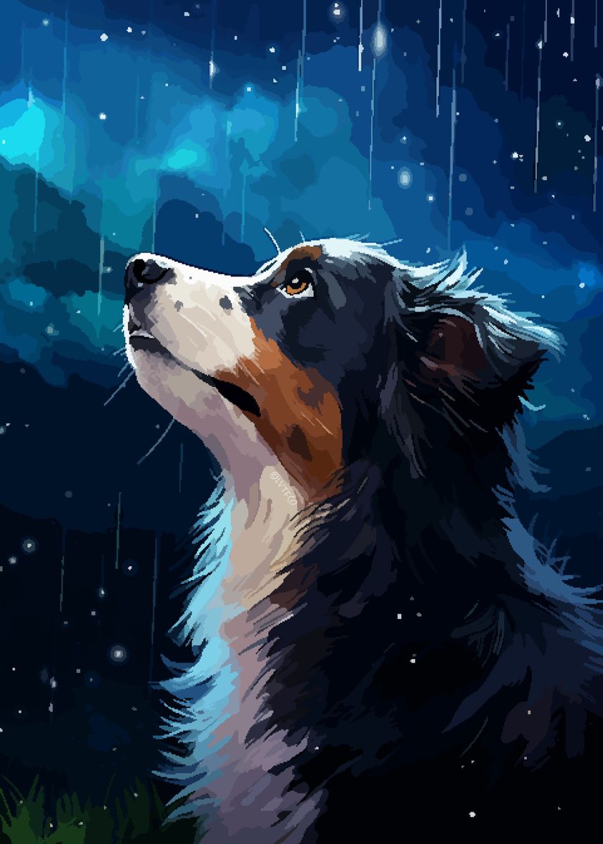 'Border Collie Rain Pixel' Poster, picture, metal print, paint by ...