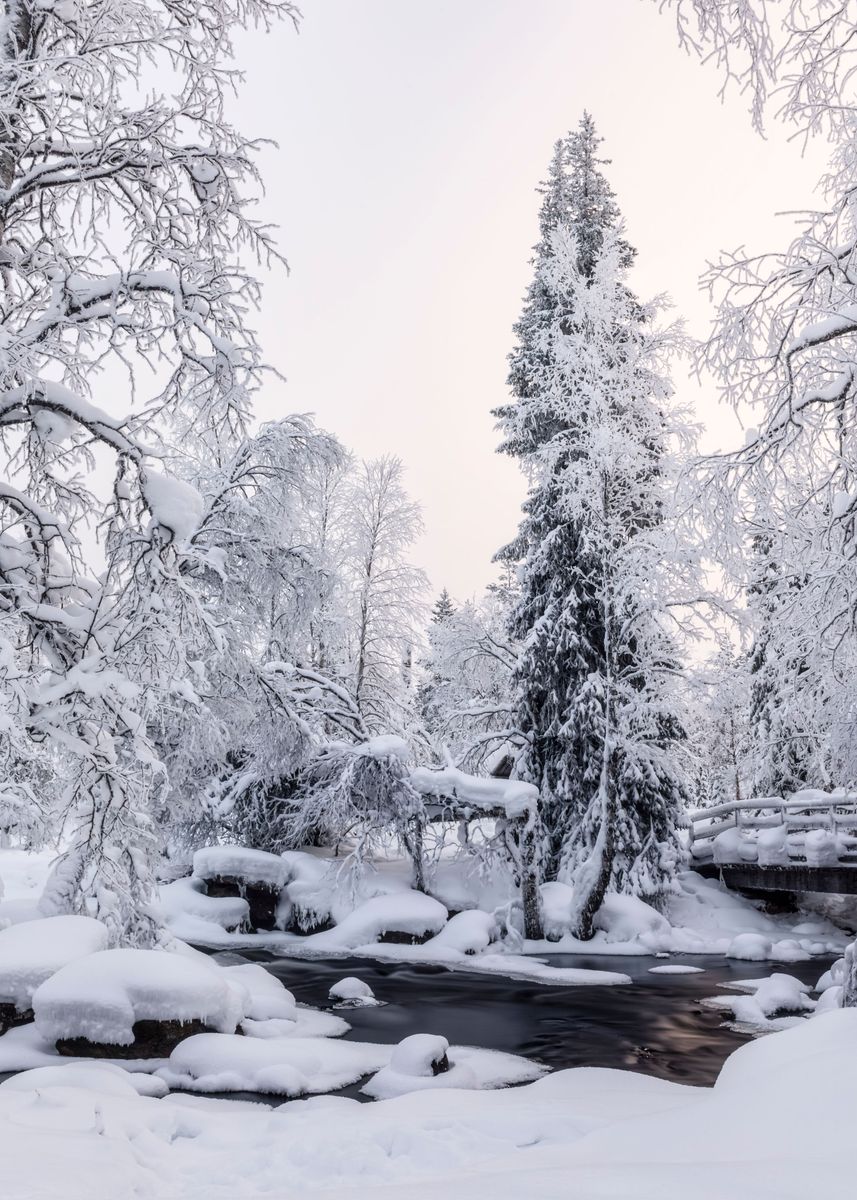 'Winter Wonderland River 4' Poster, picture, metal print, paint by Timo ...