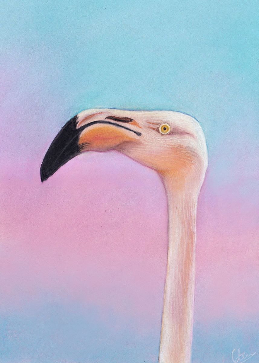 'Flamingo Pastel Painting' Poster, picture, metal print, paint by ...