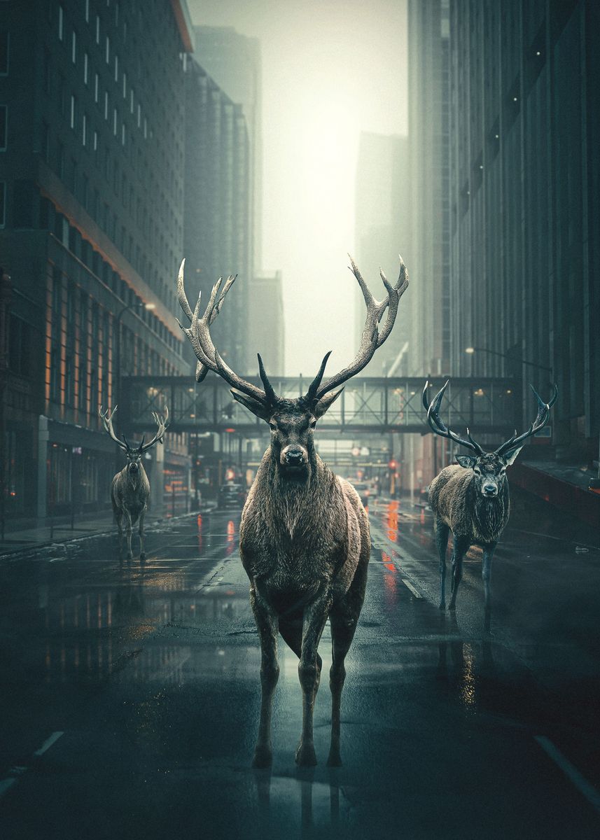 'Three Stags' Poster, picture, metal print, paint by Adam Cousins ...