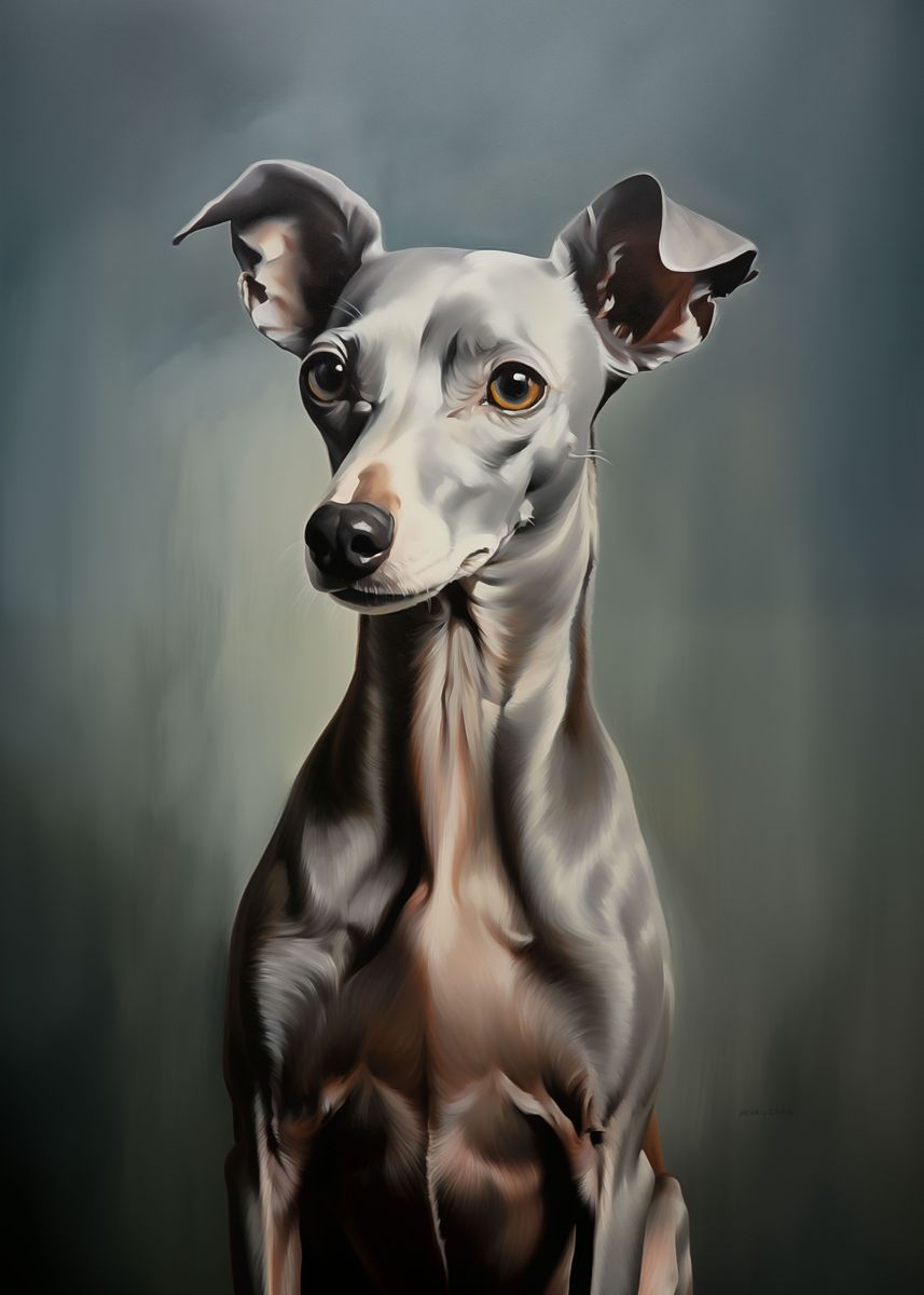 'Italian Greyhound' Poster, picture, metal print, paint by PetsArt ...
