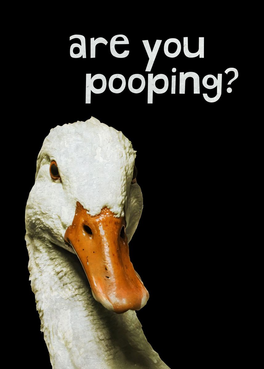 'Cute Duck Are You Pooping' Poster, picture, metal print, paint by ...