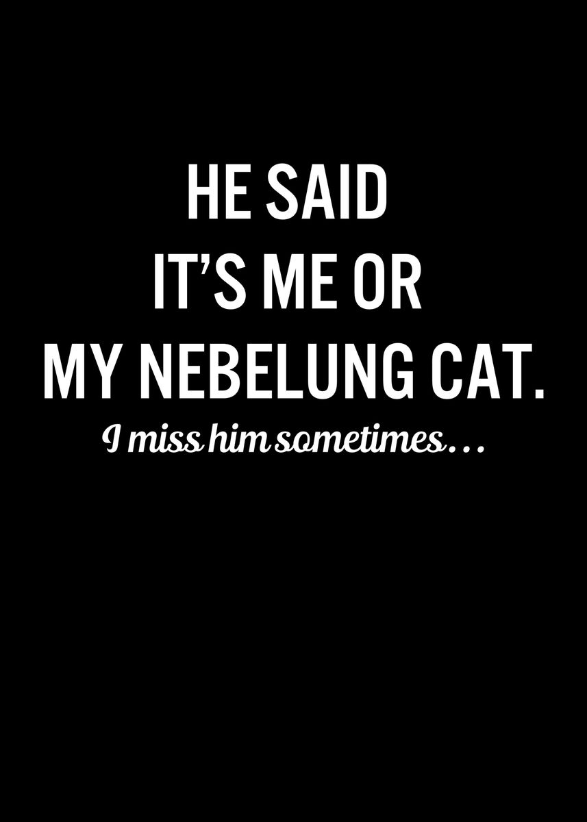 'Funny Cats My Nebelung Cat' Poster, picture, metal print, paint by ...