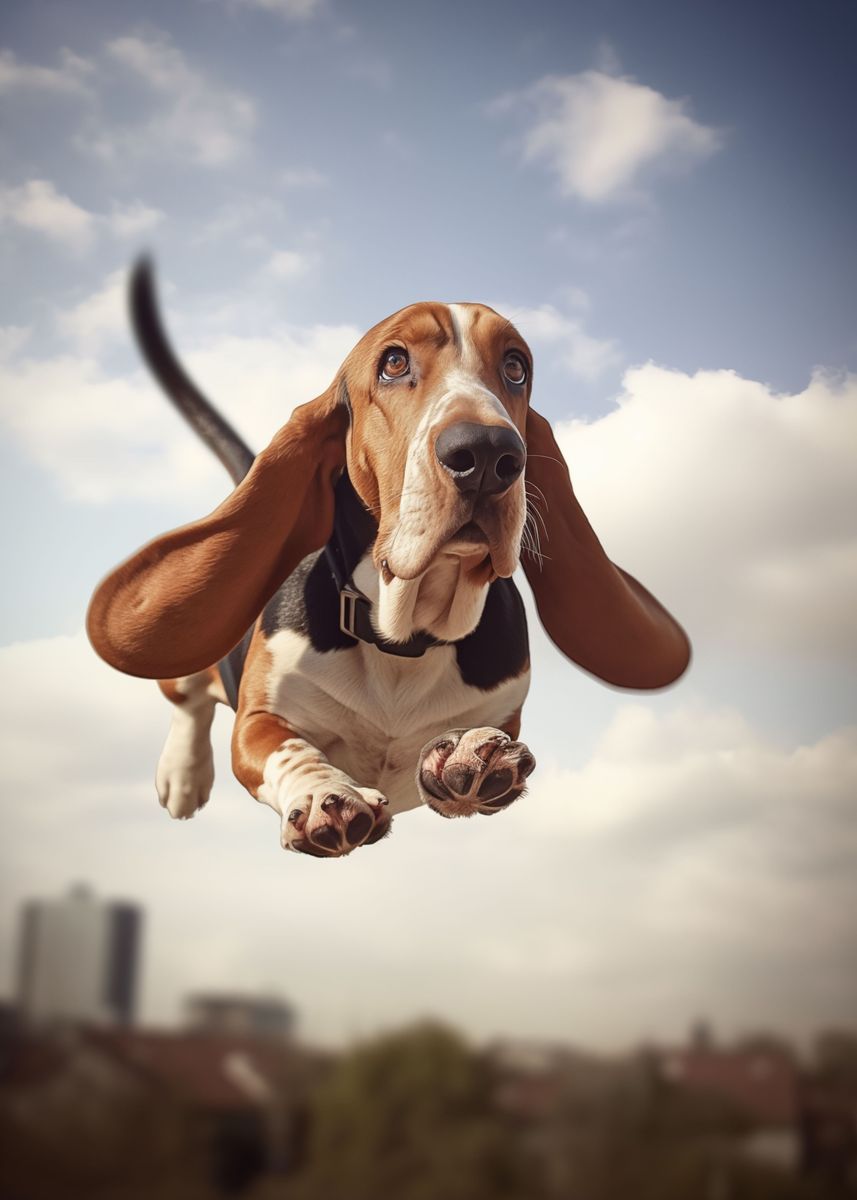 'Flying Basset' Poster, picture, metal print, paint by CorvusCorax ...