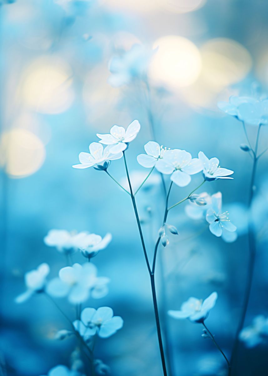 'Close up forget me not' Poster, picture, metal print, paint by Vendzi ...