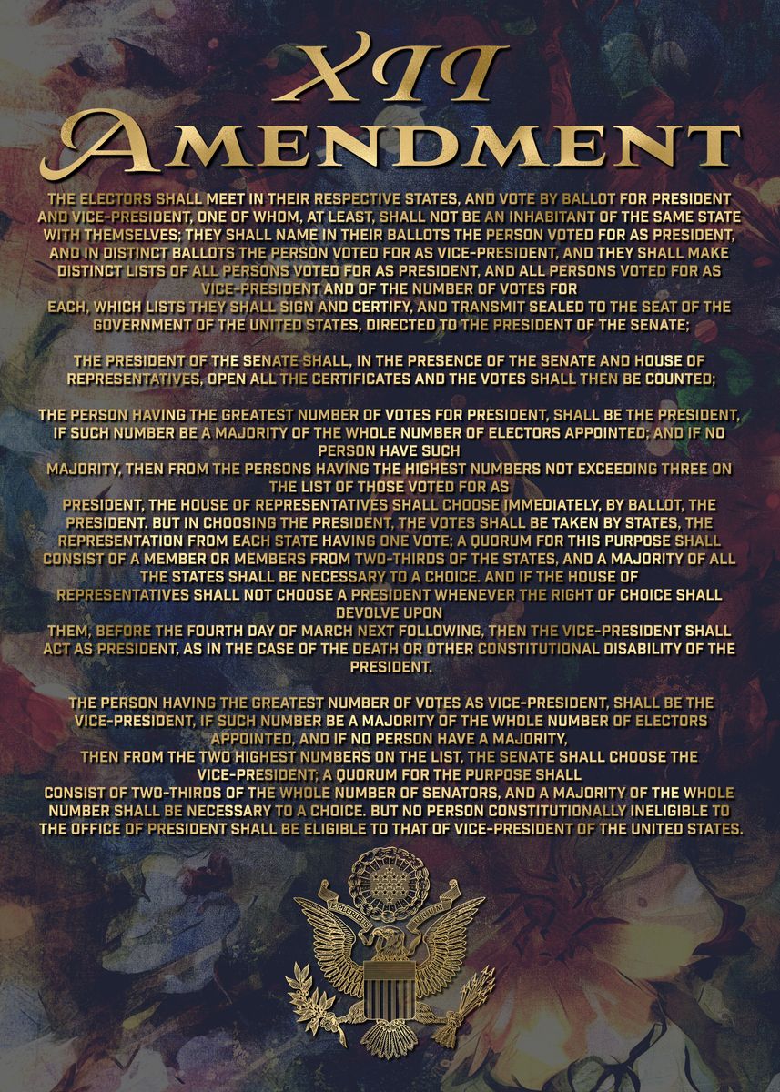 'Amendment XII' Poster, picture, metal print, paint by Sycaid | Displate