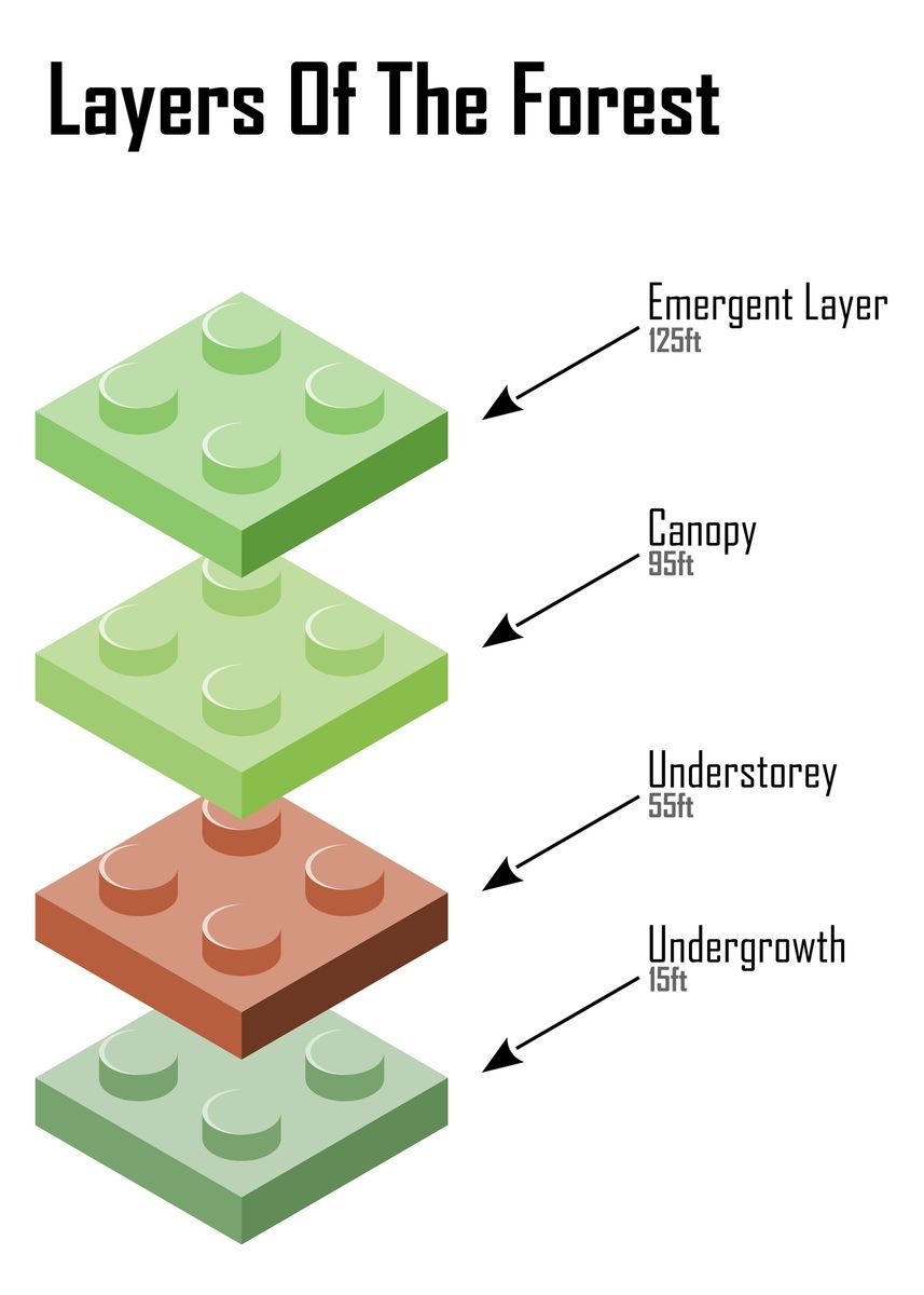 'Layers of the Forest' Poster, picture, metal print, paint by Xethrocc ...