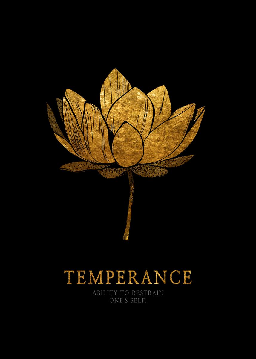 'Stoic Virtue Temperance' Poster, picture, metal print, paint by Pong ...