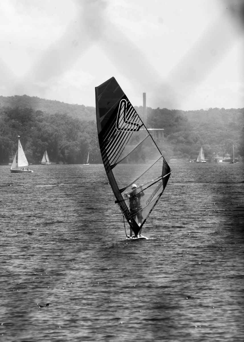 'Windsurf III' Poster, picture, metal print, paint by Daniel Pastor ...