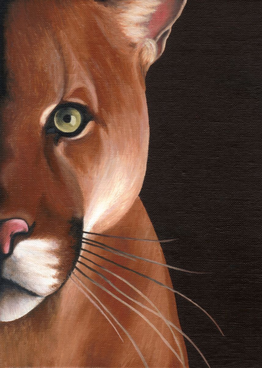 'Puma face' Poster, picture, metal print, paint by Savousépate | Displate