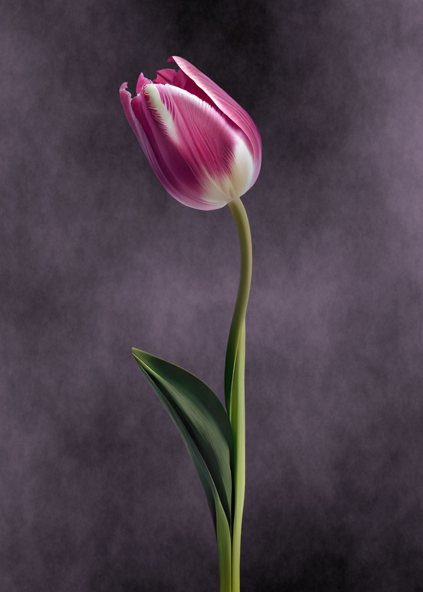 'Dutch Tulip Mania 1637' Poster, picture, metal print, paint by JLee3D ...