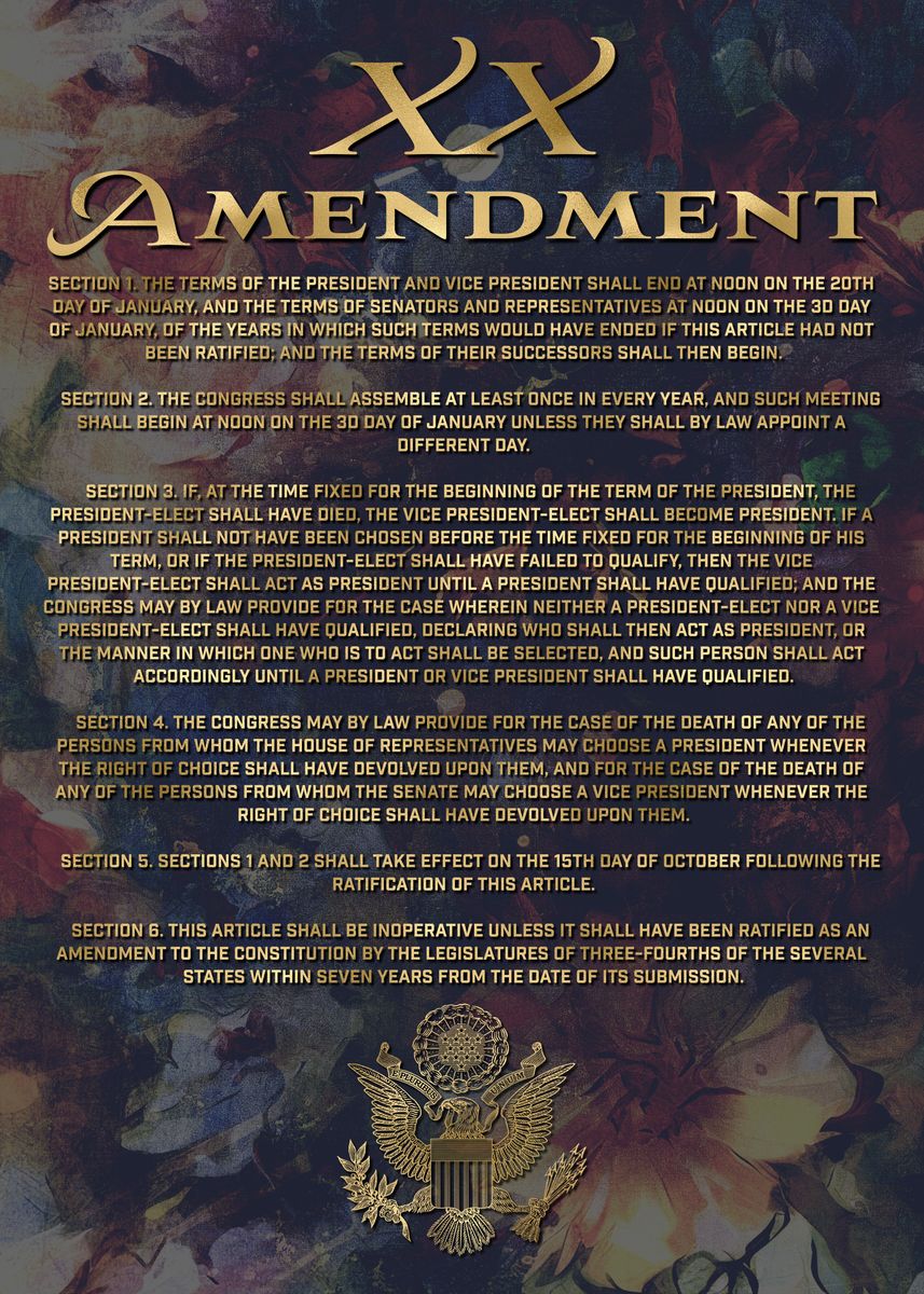 'Amendment XX' Poster, picture, metal print, paint by Breanna Sullivan | Displate