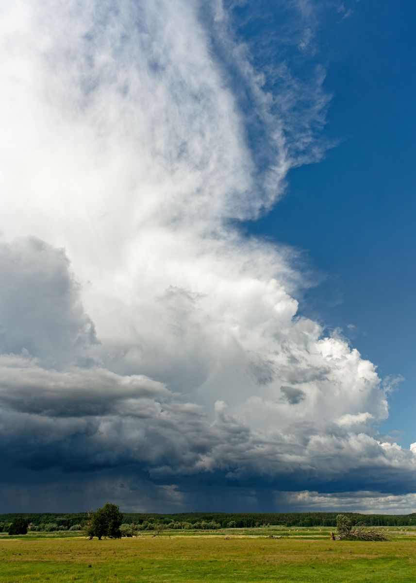 'Large thundercloud' Poster, picture, metal print, paint by Ralf ...