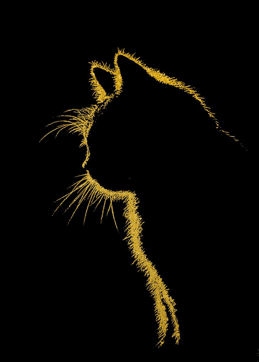'Gold Cat' Poster, picture, metal print, paint by Ammar Zain | Displate