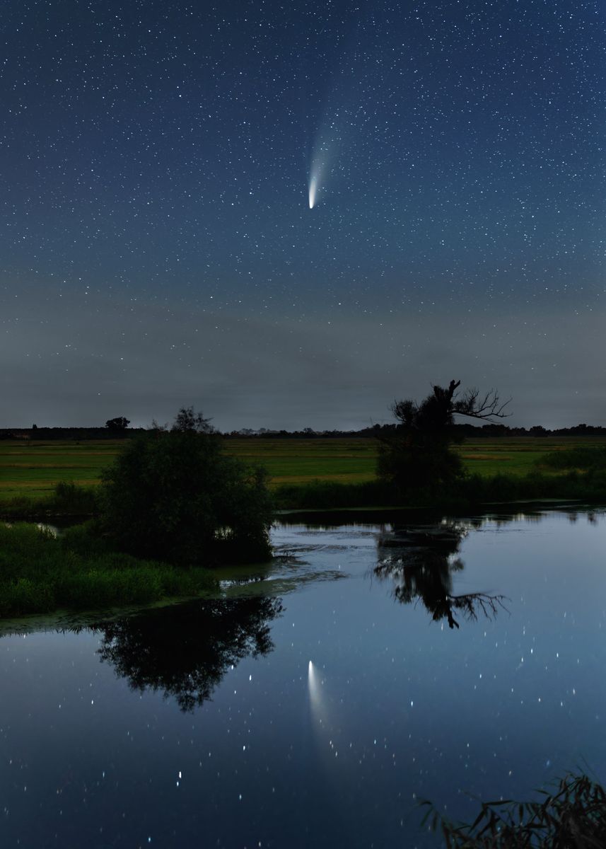 'Comet C2020 F3 Neowise' Poster, picture, metal print, paint by Ralf ...