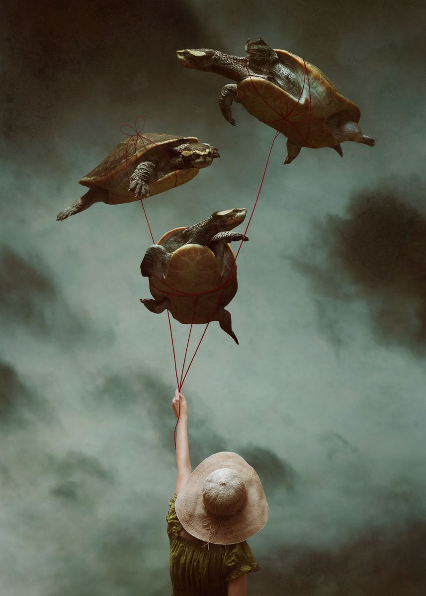 'Terrapin Flight Practise' Poster, picture, metal print, paint by Sarah ...