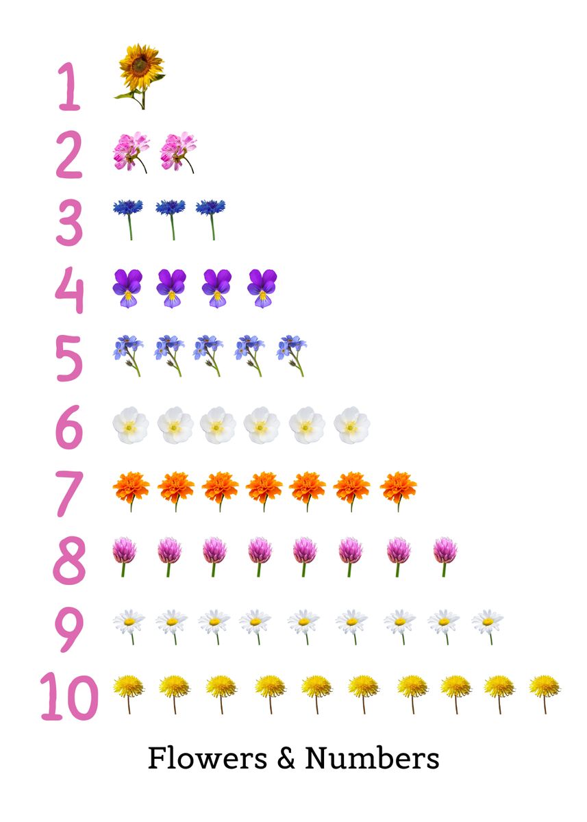 'Flowers and Numbers' Poster, picture, metal print, paint by Mark ...