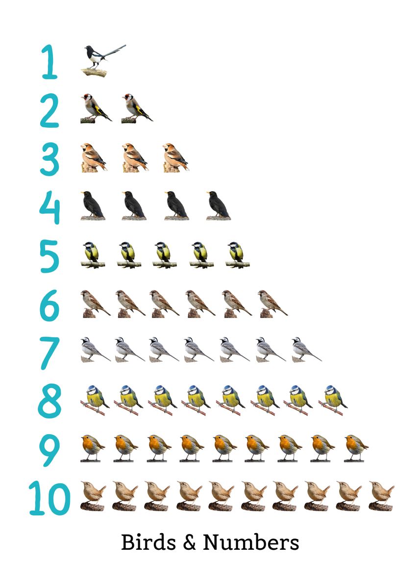 'Birds and numbers' Poster, picture, metal print, paint by Mark ...