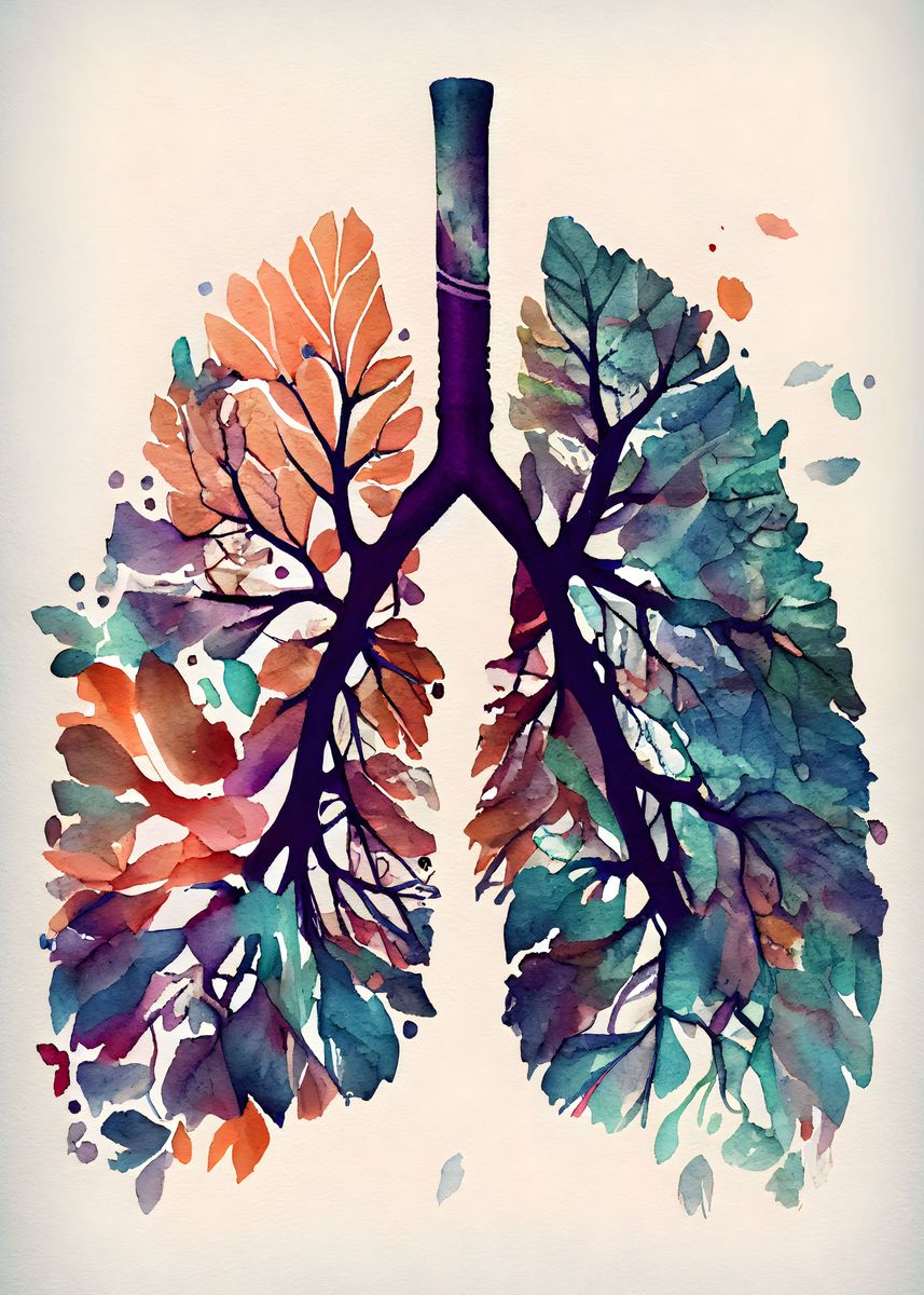 'Vintage Anatomical Lungs' Poster, picture, metal print, paint by ...