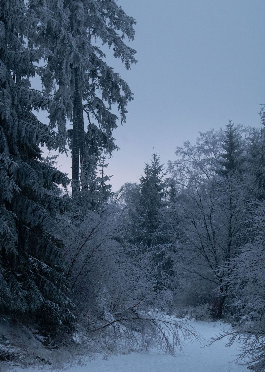 'Twilight Snowfall' Poster, picture, metal print, paint by Hendrik Zahn ...