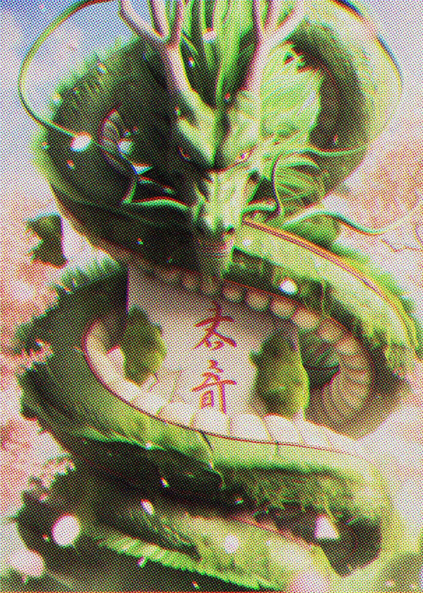 'Green Dragon' Poster, picture, metal print, paint by Ammar Zain | Displate