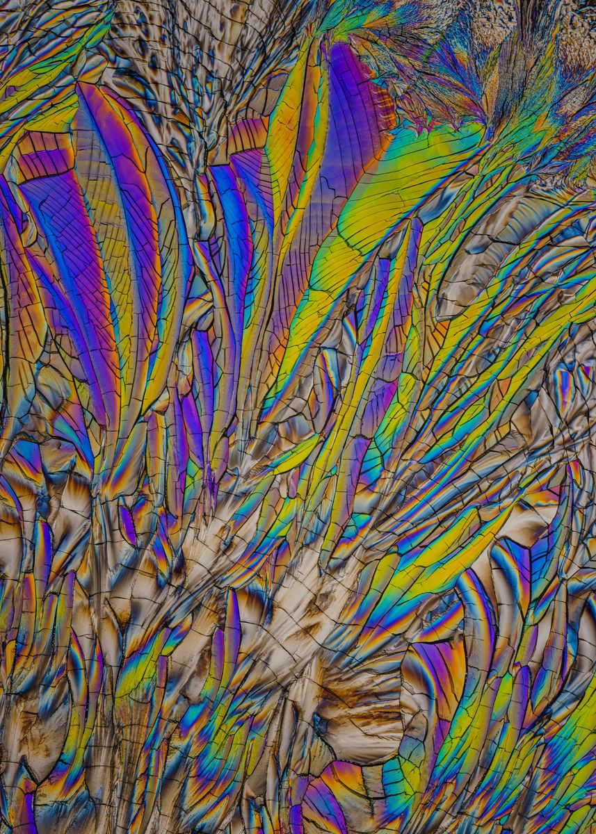 'Crystal World 50' Poster, picture, metal print, paint by Jaroslaw ...