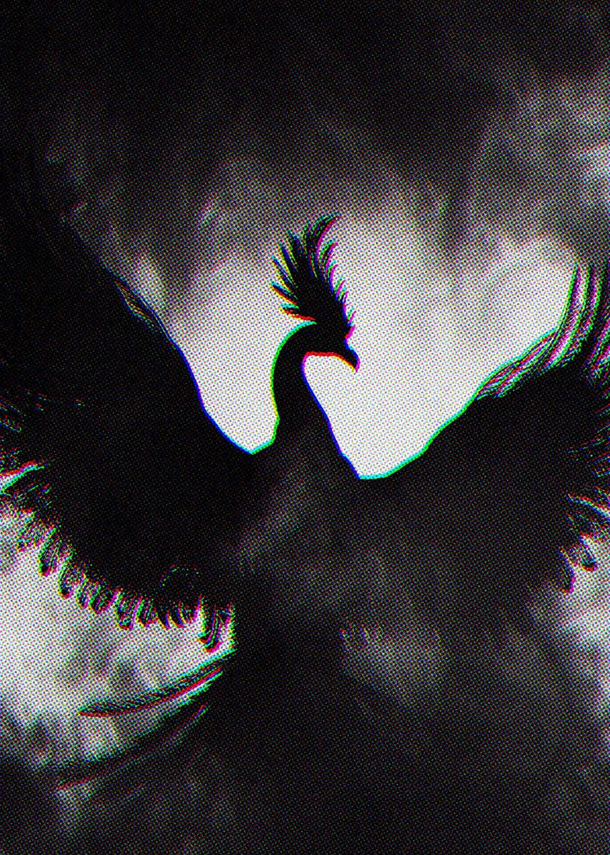 'Black Phoenix' Poster, picture, metal print, paint by Fanth | Displate