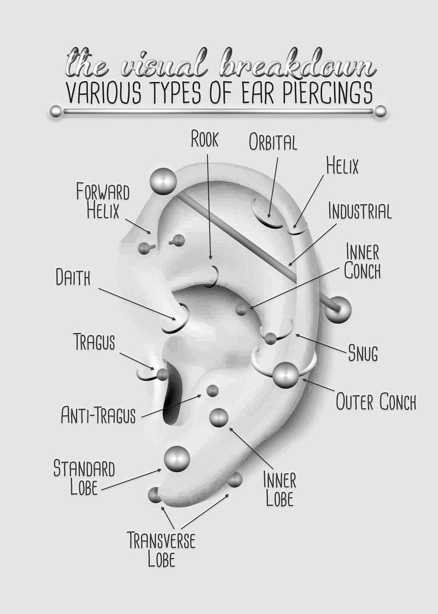 'Ear Piercing Chart' Poster, picture, metal print, paint by Jarrod ...