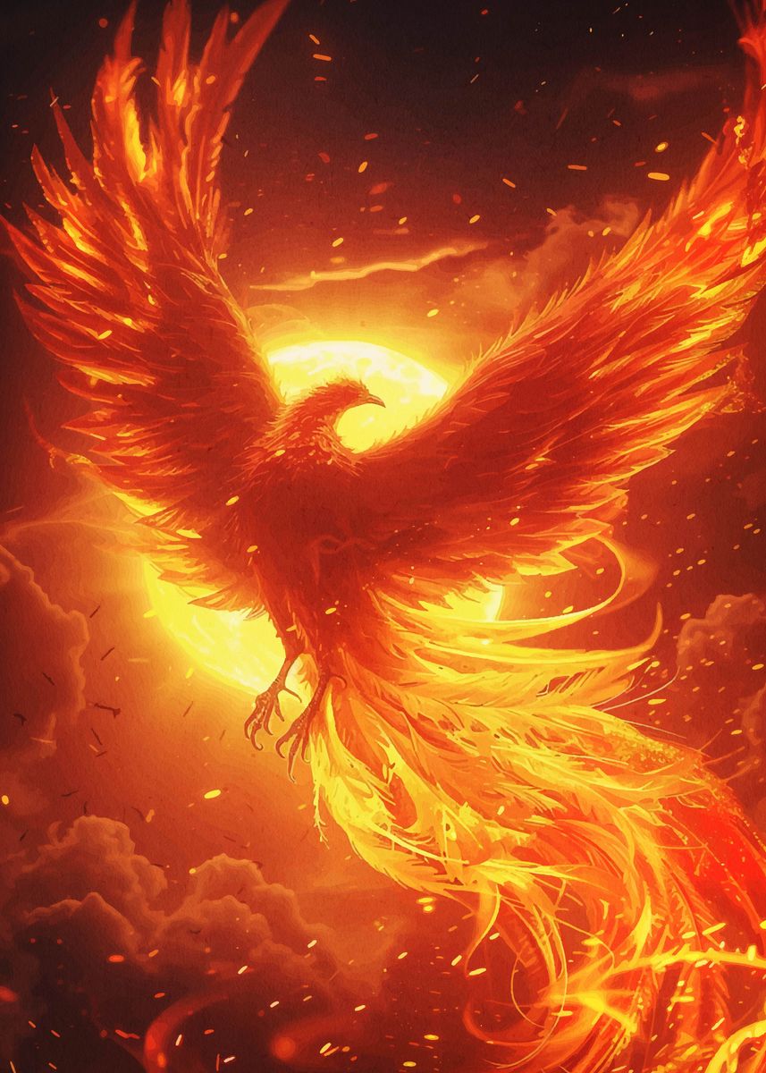 'Phoenix Fire Hoo' Poster, picture, metal print, paint by Kaci ...