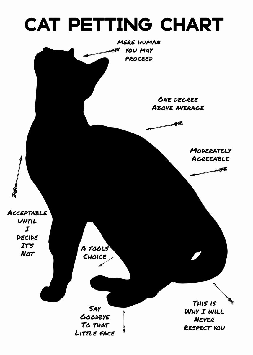 'Cat petting chart' Poster, picture, metal print, paint by Kerry ...